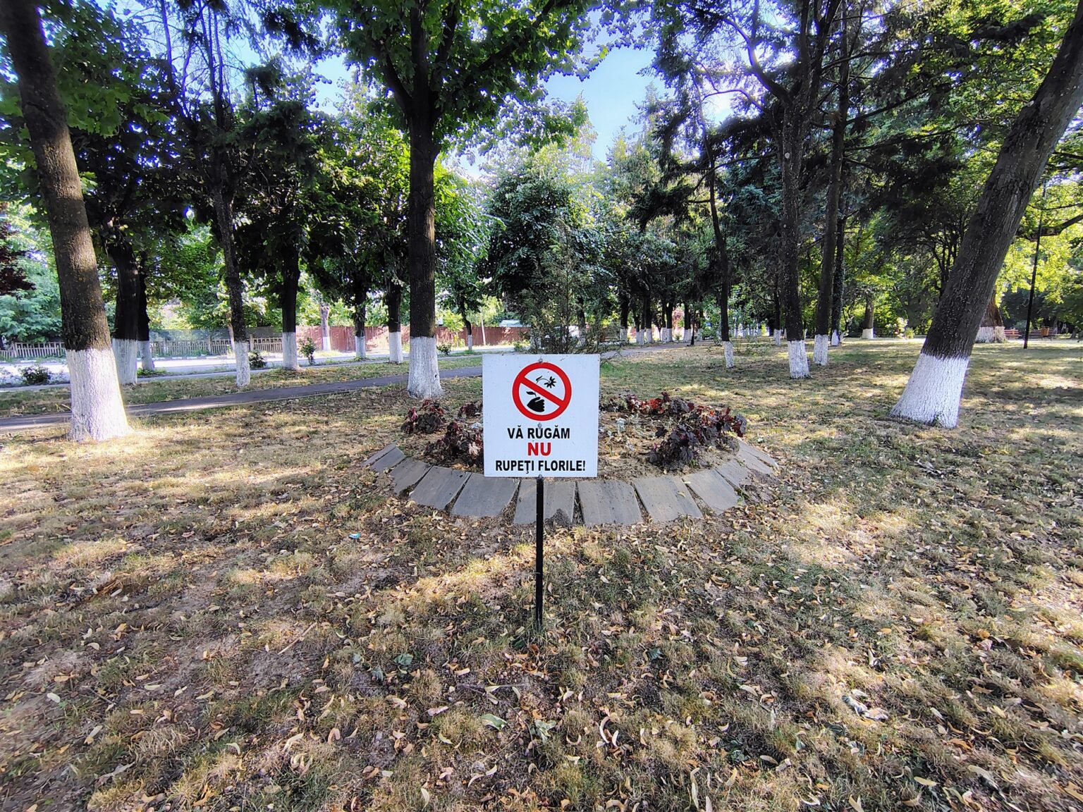 Motorola Edge 50 Fusion - review