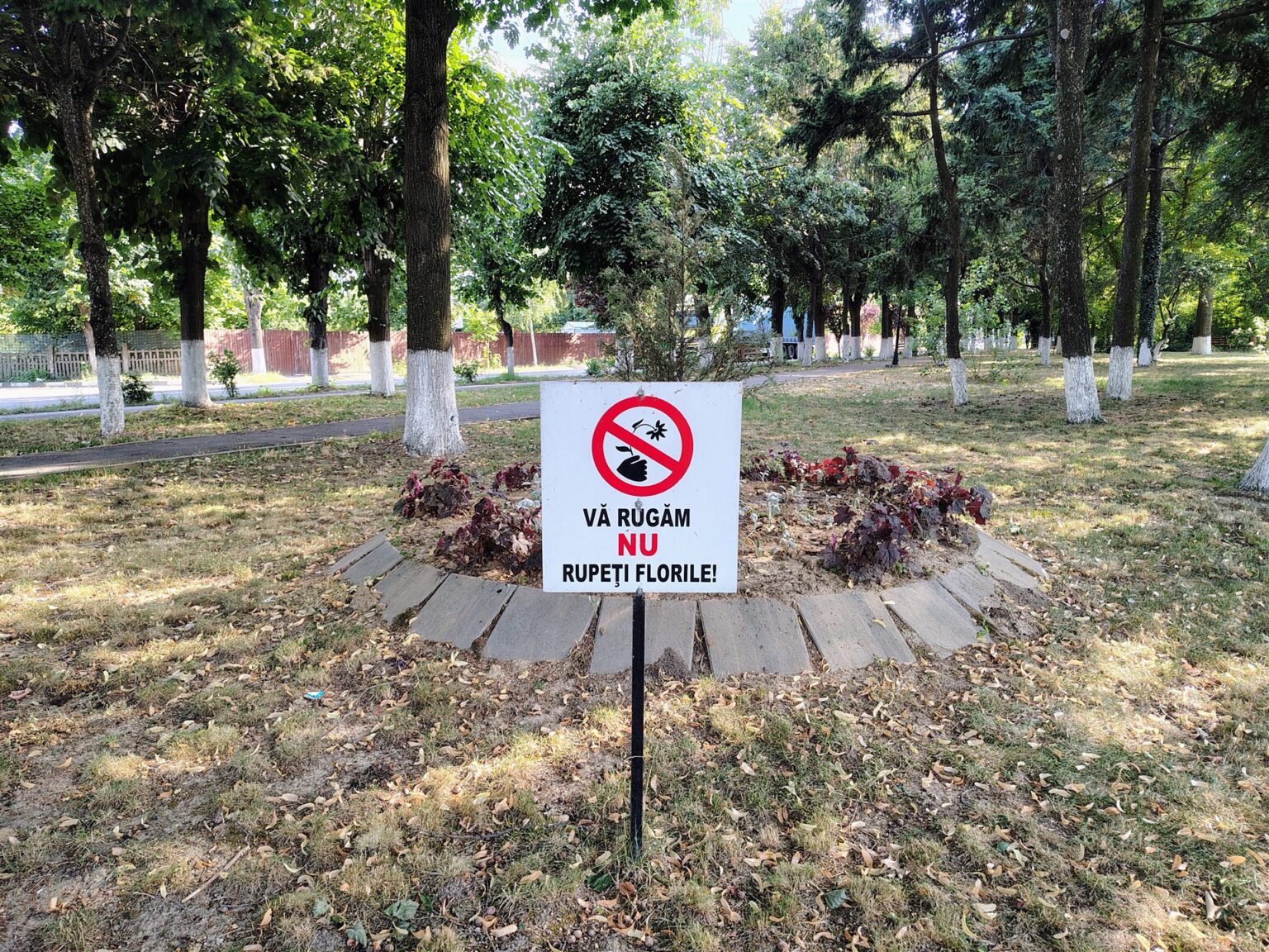 Motorola Edge 50 Fusion - review