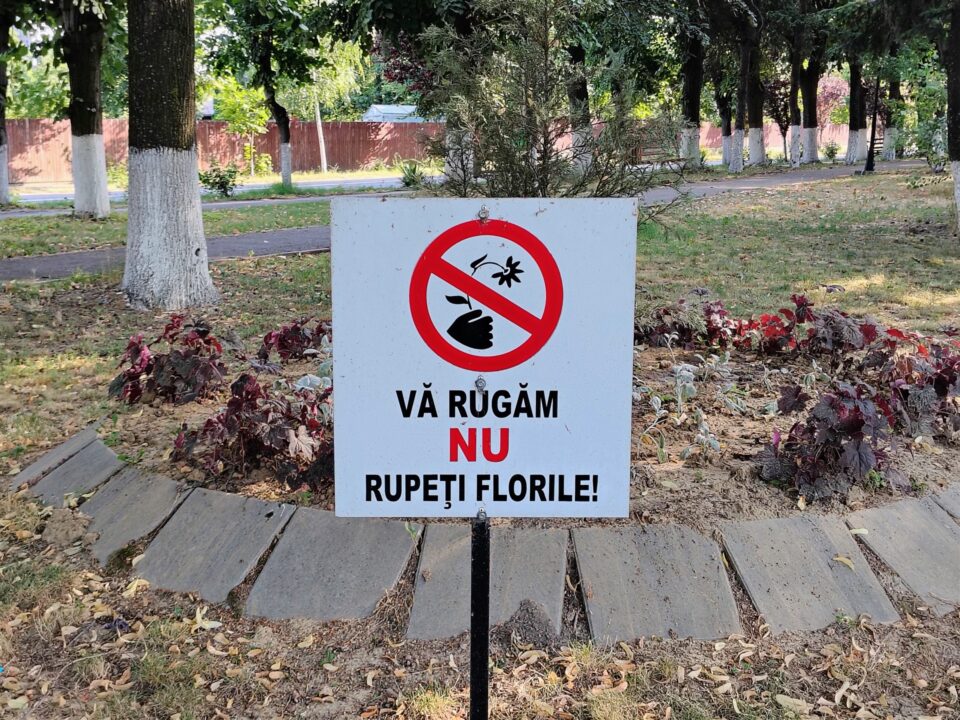 Motorola Edge 50 Fusion - review