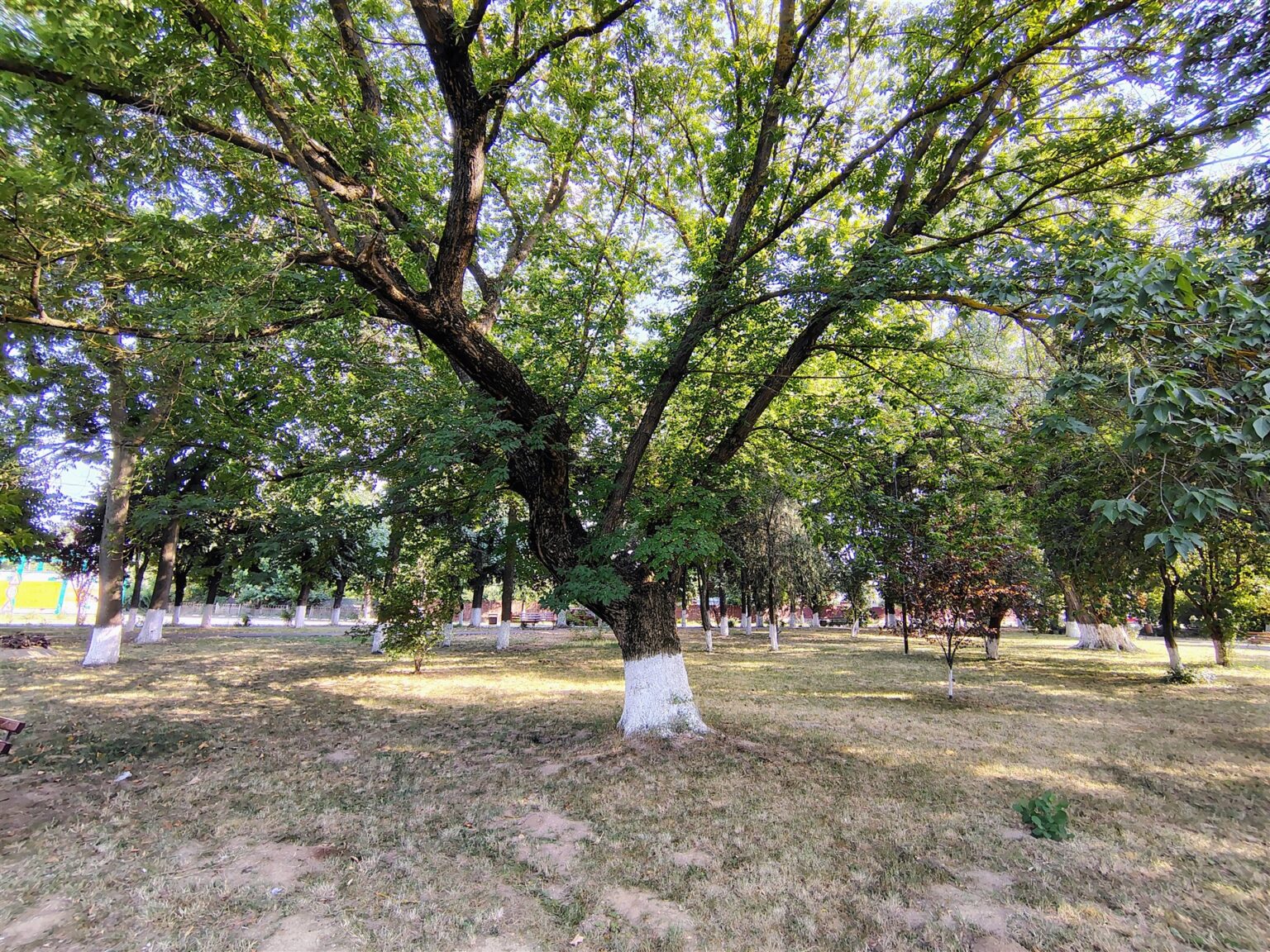 Motorola Edge 50 Fusion - review