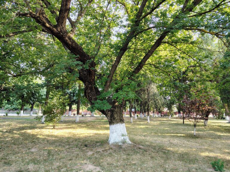 Motorola Edge 50 Fusion - review