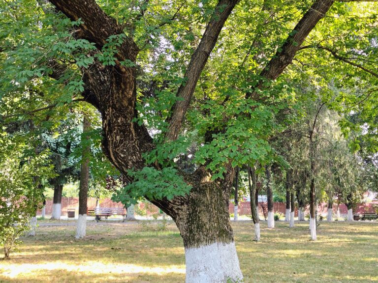 Motorola Edge 50 Fusion - review