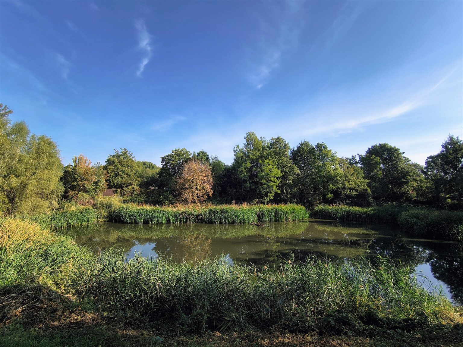 Motorola Edge 50 Neo - review