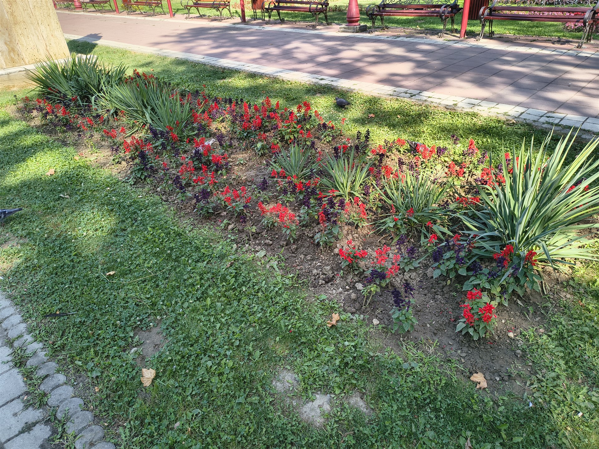 Motorola Edge 60 - review (Arătos și echilibrat, fără minusuri serioase)