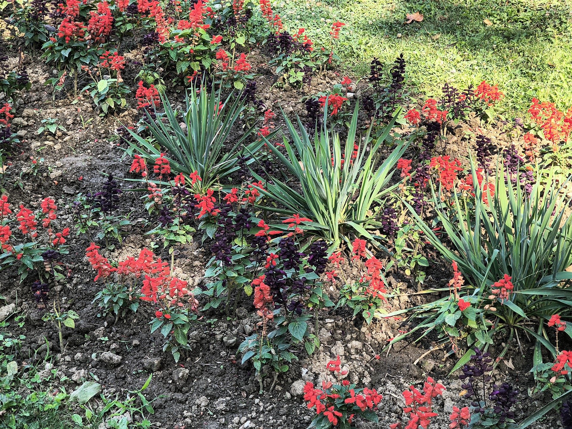 Motorola Edge 60 - review (Arătos și echilibrat, fără minusuri serioase)