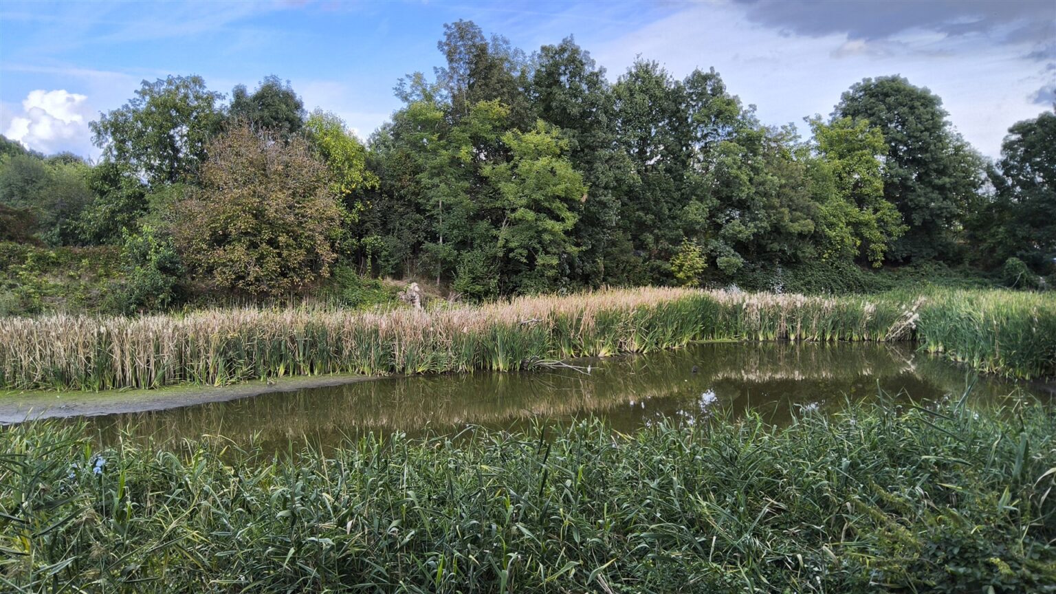 Tabletă Samsung Galaxy Tab S11 - review